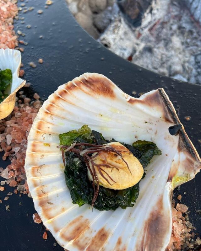 Restaurant Westerpark - Rainarai